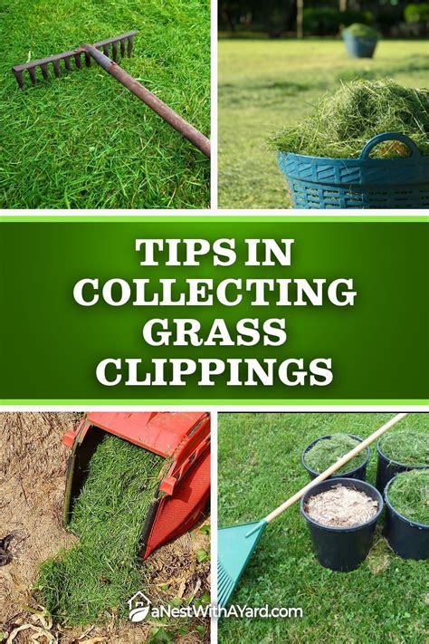 How To Collect Grass Clippings After Mowing In 2023 Artofit