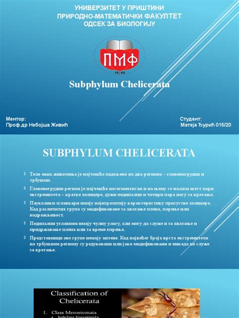 Chelicerata Pdf