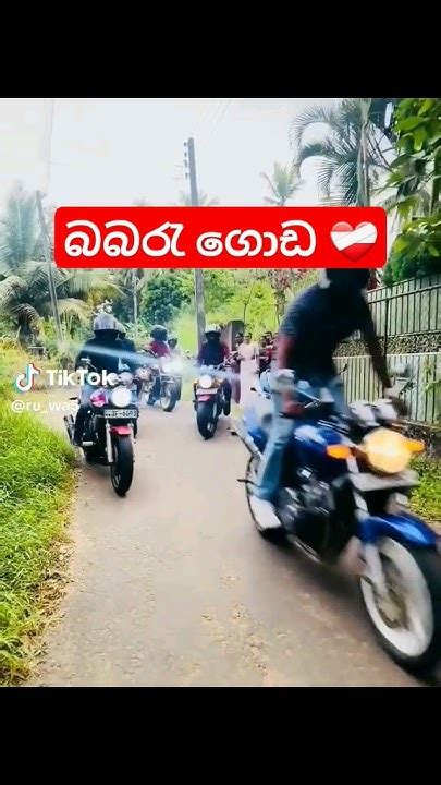 බබරැන්ට ආස අය කෝ 😁 Bike Lover Hondahornet Hornet250cc Viral Video Automobile Bike Video