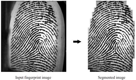 Solved Python Opencv Fingerprint Segmentation
