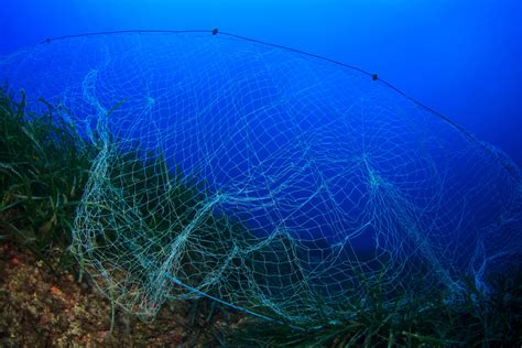 What Is A Gill Net