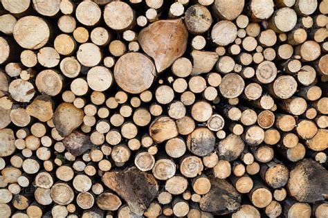 近距离堆放圆形木材，大部分直径较小