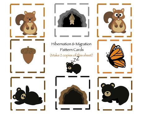Hibernate Migrate Adapt Worksheets