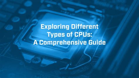 Exploring Different Types Of Cpus Bvm Ltd