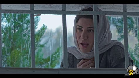 سکانسی از فیلم سینمایی جنگل پرتغال فیلو