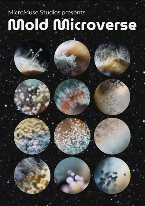 Microverse Mold Alien Life Nature Science Art Poster Empfangsbereiche