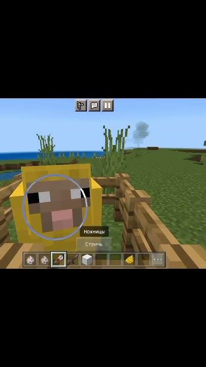 5 Фактов о шерсти в Майнкрафт Shorts Minecraft шерсть Youtube
