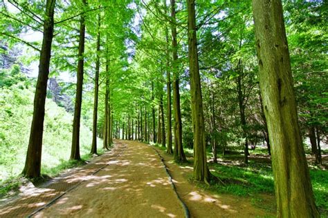 여수의 사랑 한강