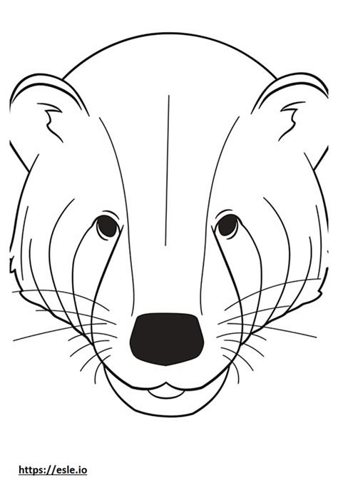 Badger Coloring Pages Free Printable