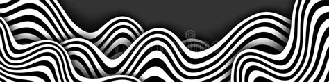 Modern Abstract Background With Wave Lines Black And White Curved
