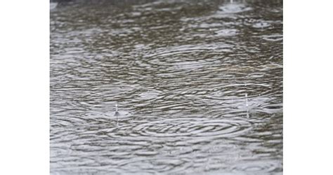 Дъжд по Черноморието и в Източна България утре