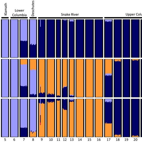 Plot Of Admixture Coefficients Estimated By Ngsadmix For K 2 3 And Download Scientific