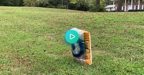 Target Album On Imgur