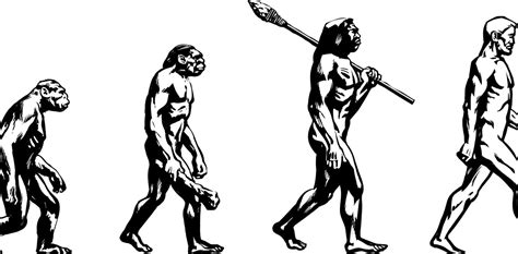 Evolution 10th Grade Flashcard Quizizz