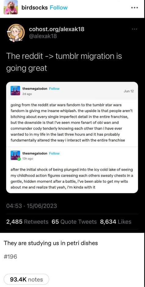 The Circle Of Life Rtumblr