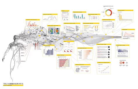 Transcendence Effects Diagram Function Diagram Time Diagram Diagram