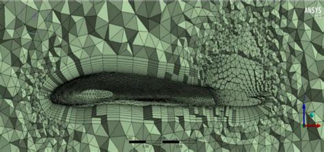 Mesh And The Growth Of Mesh Elements In The Wall Layer Download