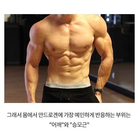 여자들이 어깨넓은 남자를 좋아하는 이유  인스티즈 Instiz 이슈 카테고리