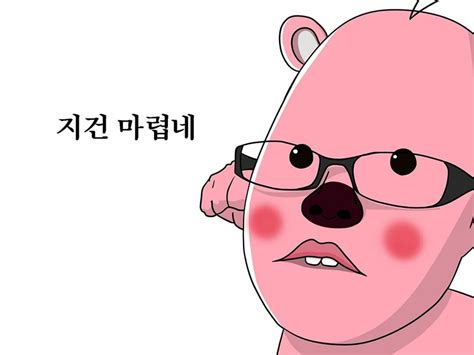 루피짤 모음집 Opgg