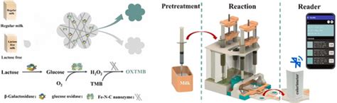 Rational Integration Of Nanozyme Probe And Smartphone Device For OnSite Analysis Wu