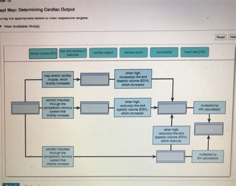 Solved Ept Map Determining Cardiac Output Urng Ule Ap