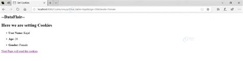 Jsp Cookies Handling With Examples Dataflair Jsp Cookies Handling With Examples Dataflair