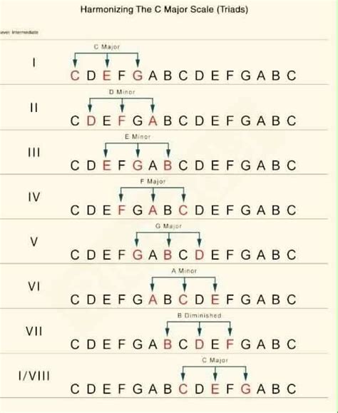 Pin by Jesús Parra on Bass Music theory lessons Music theory guitar