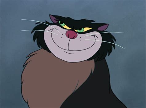 What Kind Of Cat Is Lucifer From Cinderella Famous Cat Breeds Revealed