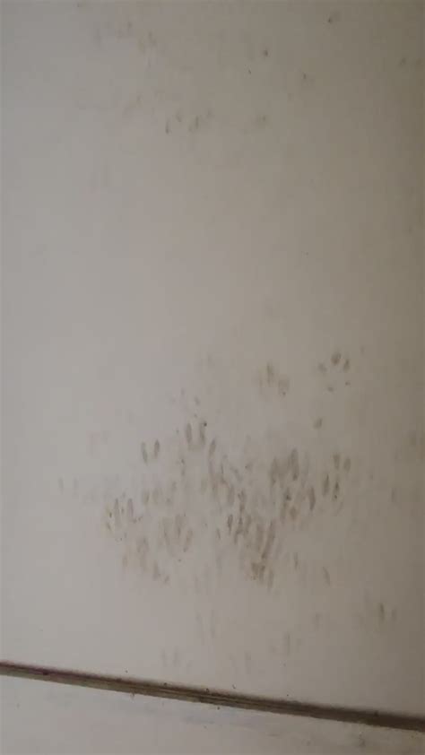 Dont Mind The Quality This Place Has No Light So To Make It Clear