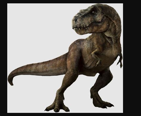 Editableimage Help Scripting Support Developer Forum Roblox