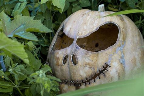Young Woman With Pumpkin Head After Cutting It Off And Putting A Face