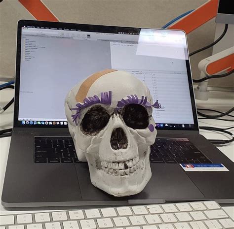 Hows This For A Duck R ProgrammerHumor