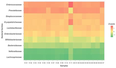 Analysis Of The Infant Gut Microbiome Reveals Metabolic Functional Roles Associated With Healthy
