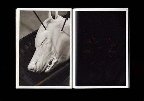 Lionel Catelan — Nicolas Darrot — Règne Analogue