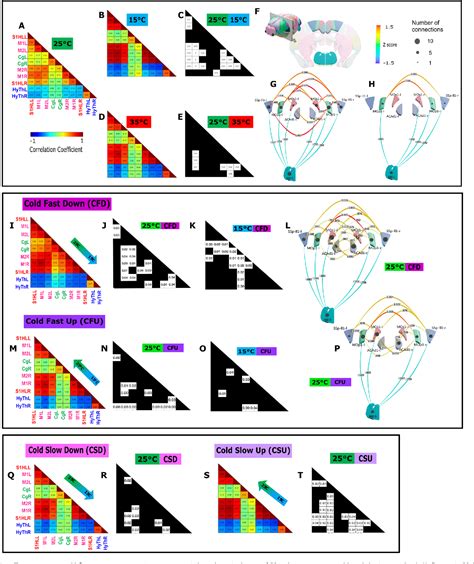 Figure 3 From Speci ﬁ C And Nonuniform Brain States During Cold Perception In Mice Semantic