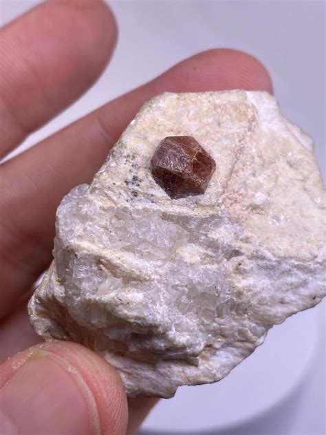 Garnet In Marble Granite Pakistan Early 2000s 55m Etsy