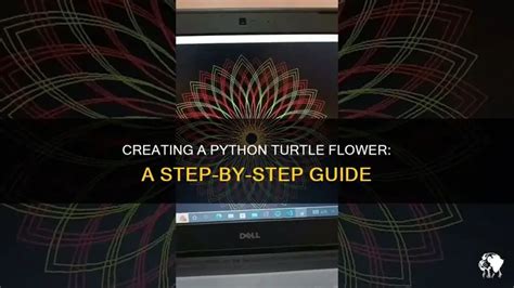 Creating A Python Turtle Flower A Step By Step Guide Petshun