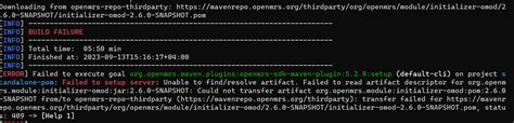 Platform Modules Development OpenMRS Talk