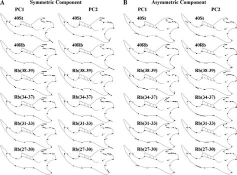 Diagrams Of Eigenvectors For Pc1 And Pc2 Of The Symmetric A And