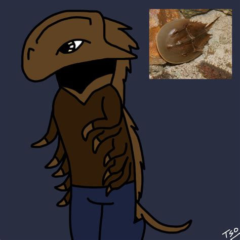 What If A Sea Horseshoe Crab Was Anthro By Receptivemangle1000 On