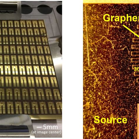 Array Of As Printed Eg Gfet Sensors Left Image Individual Sensor Download Scientific Diagram