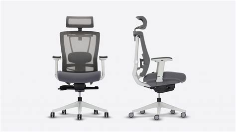 Ergochair Pro By Autonomous