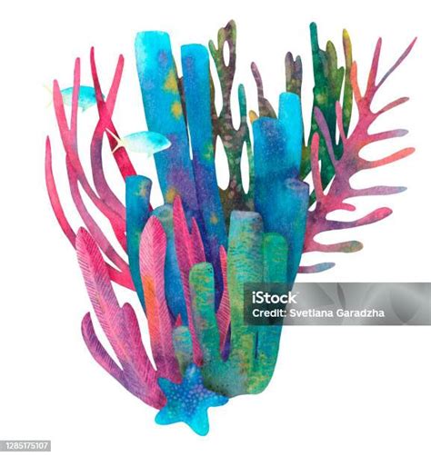 산호초 수채화 일러스트 구성 손으로 그린 수중 바다 생활 장식 디자인 흰색 배경에 아름다운 밝은 산호 물고기 불가사리 해초 해양 생물 0명에 대한 스톡 벡터 아트 및 기타