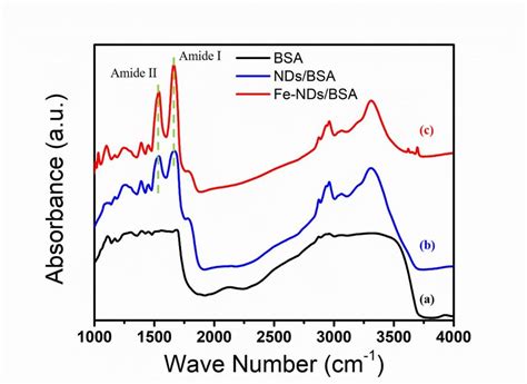 Fourier Transform Infrared Ftir Spectra A Bsa B Nds Bsa