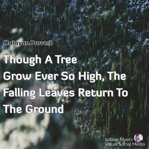 175 Tree Quotes About Life Love And Hope To Inspire Action LouiseM