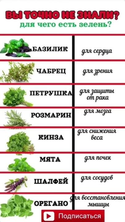 А ВЫ ЗНАЛИ ДЛЯ ЧЕГО ЕСТЬ ЗЕЛЕНЬ здоровье пп Top советы Youtube