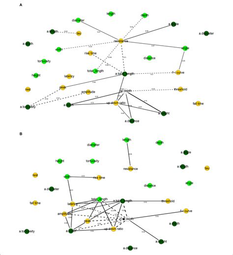 Correlation Networks For Electrophysiological And Morphological Download Scientific Diagram