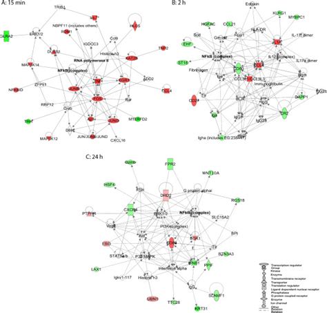 Ipa Network Analysis Of Temporally Specific Sappα Regulated Datasets Download Scientific