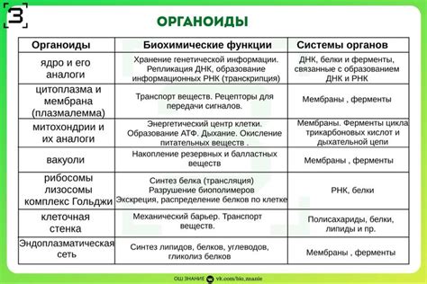 Пин от пользователя V B ♡♡♡ на доске мед‍⚕️ Уроки биологии Учитель химии Углубленное