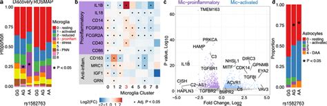 Unique Microglial And Astrocytic Signatures For Ms4a Rs1582763 Download Scientific Diagram
